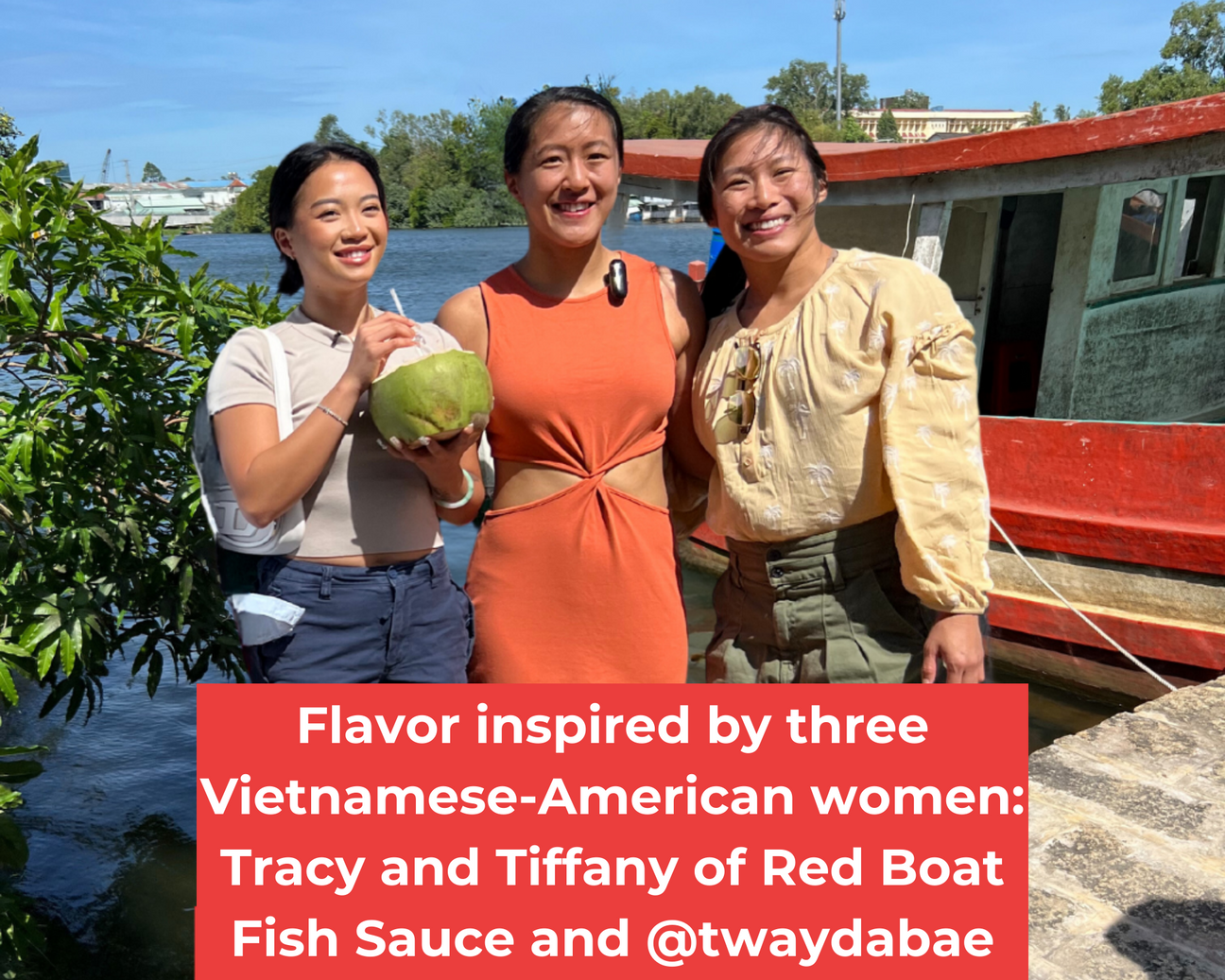 New Bae Seasoning Fish Sauce – Red Boat Fish Sauce